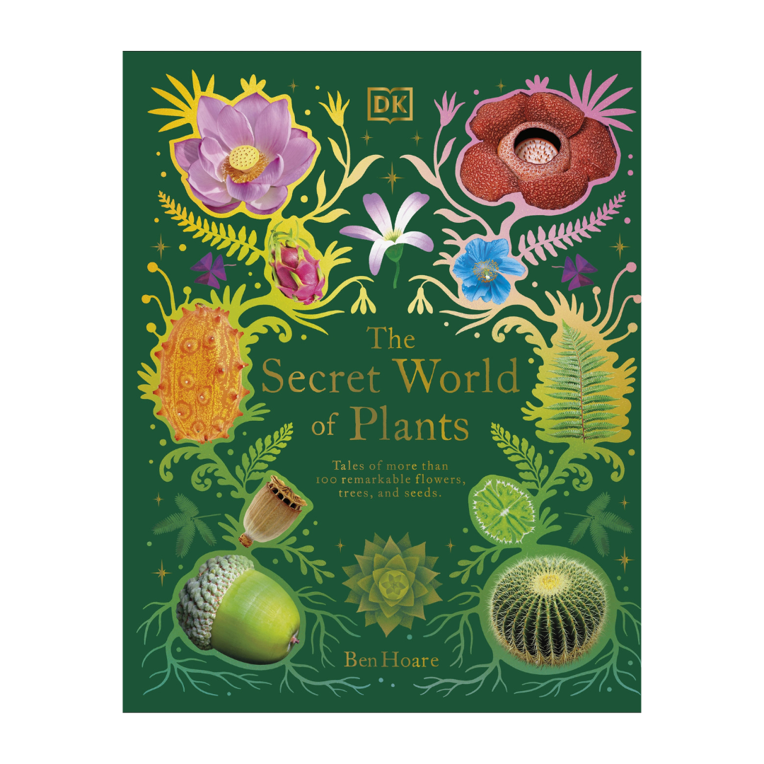 The Secret World of Plants – Fairplay