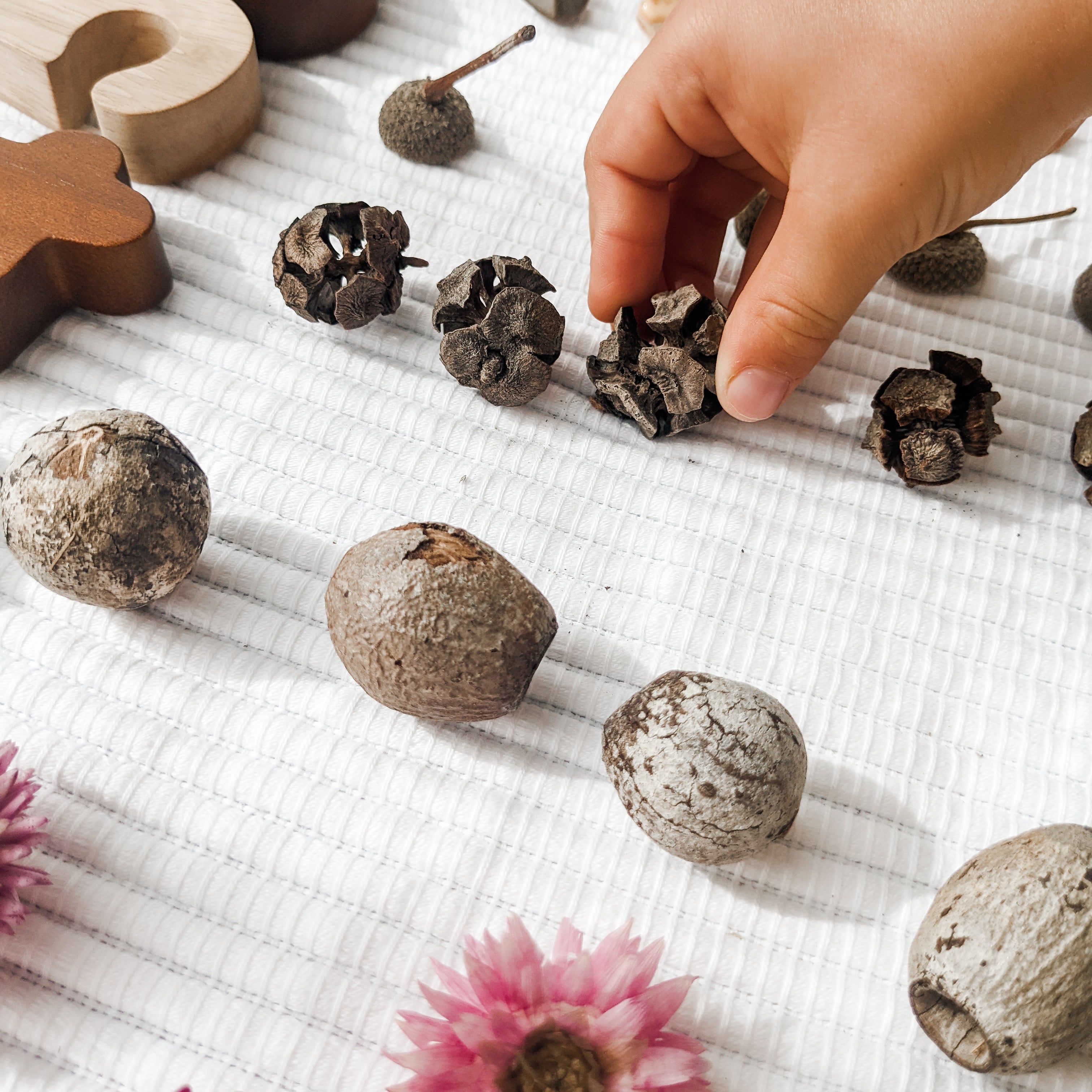 Natural Treasures - Large Sensory Box – Fairplay