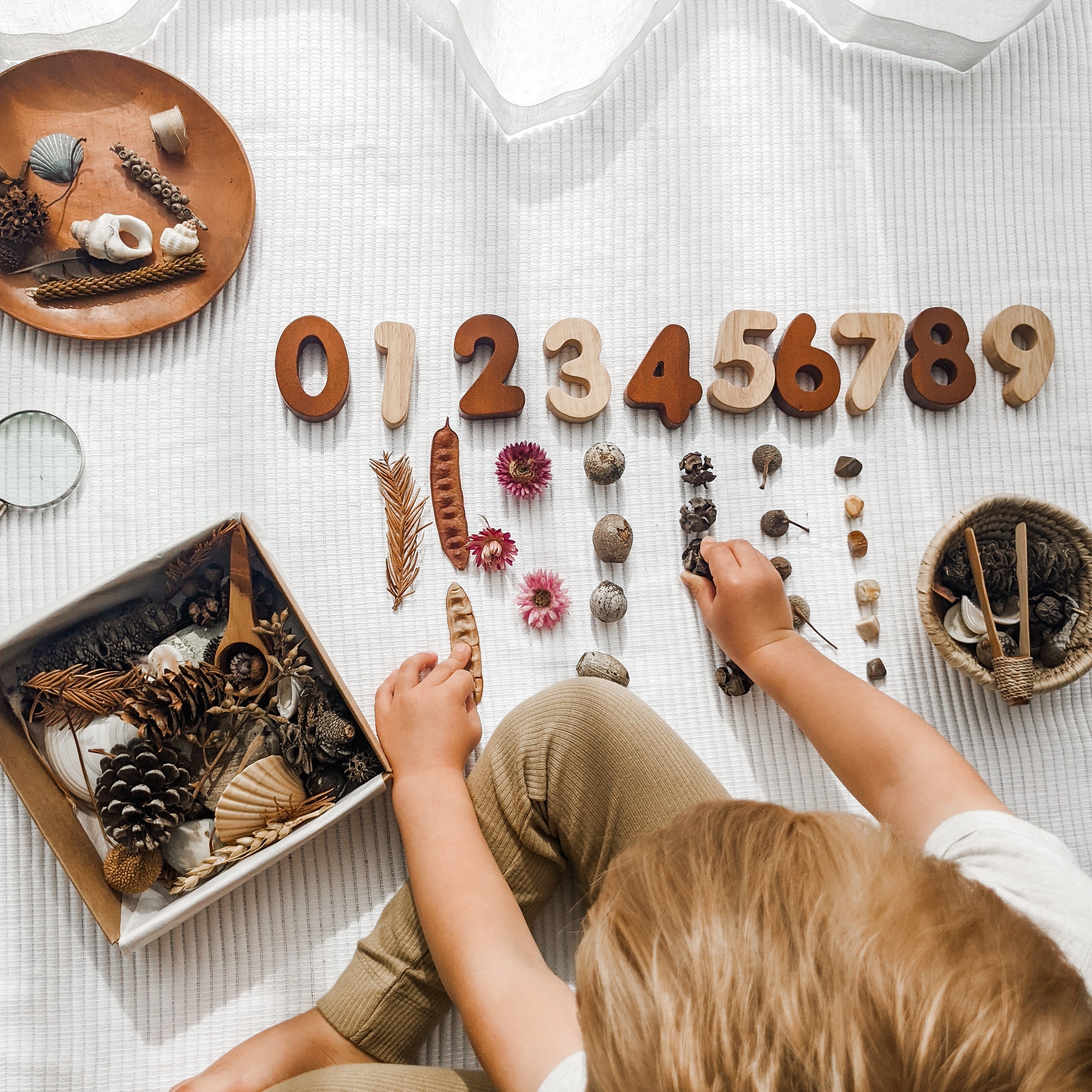 Natural Treasures - Large Sensory Box – Fairplay